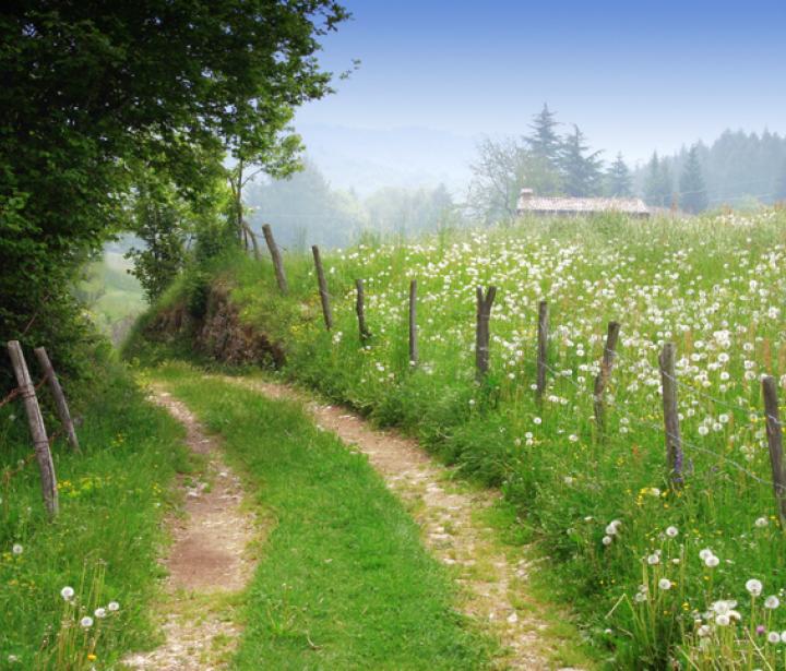 Un chemin rural peut-il faire l’objet d’une vente ? – L'appel expert